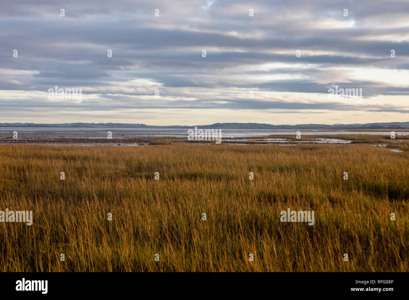 North sea coastal path hi-res stock photography and images - Alamy