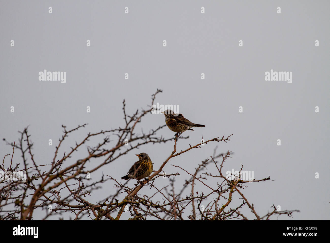 Teesside nature reserve hi-res stock photography and images - Alamy