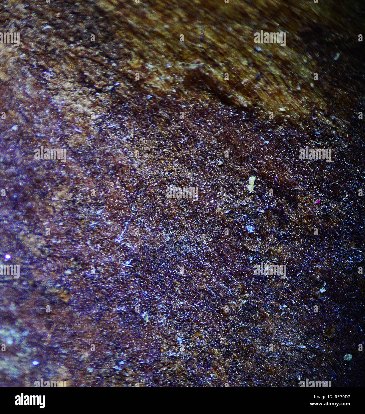 Microscope wood hi-res stock photography and images - Alamy