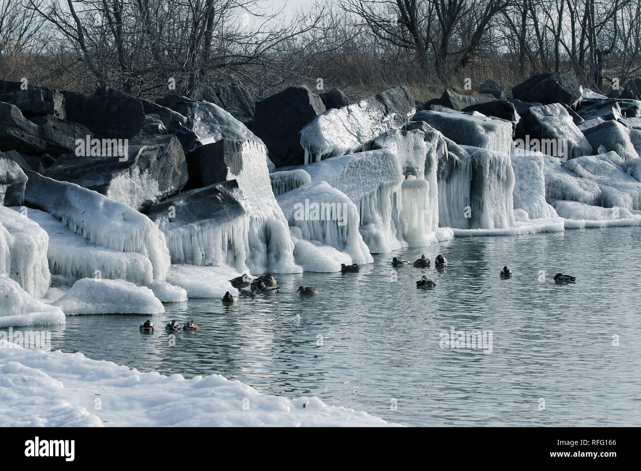 Ice coated shoreline rocks hi-res stock photography and images - Alamy