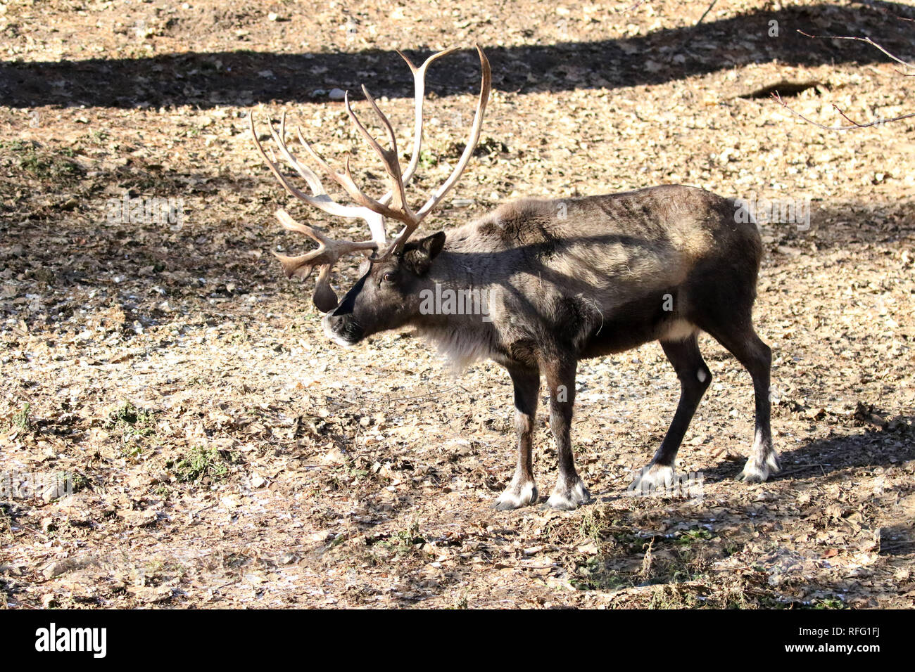 Land scraping hi-res stock photography and images - Alamy