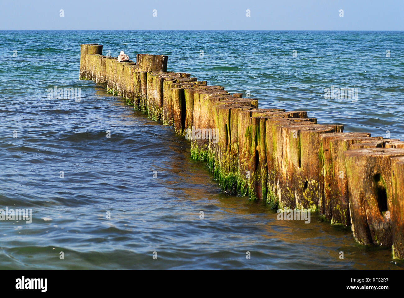Beach groin shore protection hi-res stock photography and images - Alamy