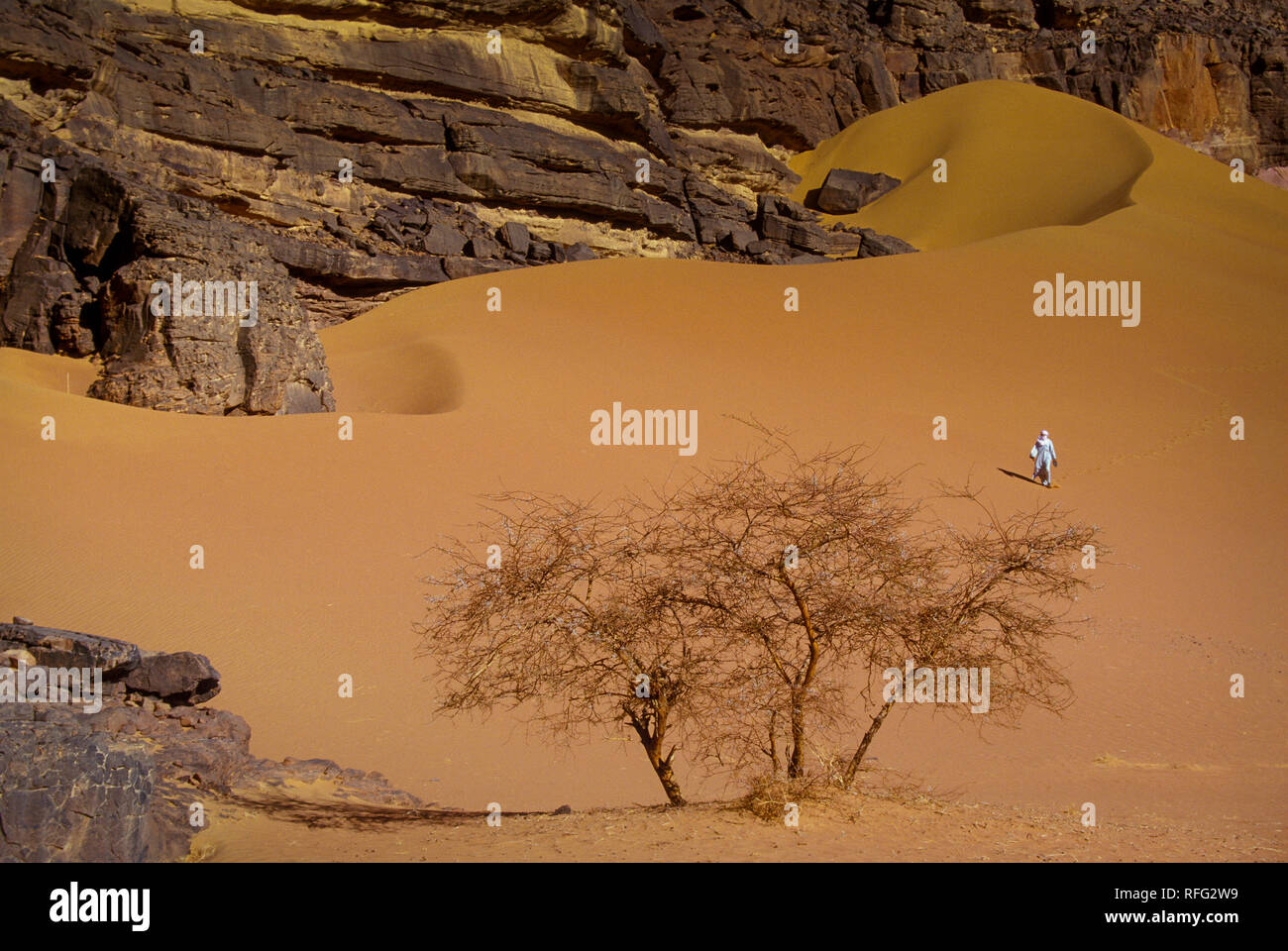 Africa, Algeria, Sahara, Tassili N'Ajjer National Park, Tadrart, rock ...