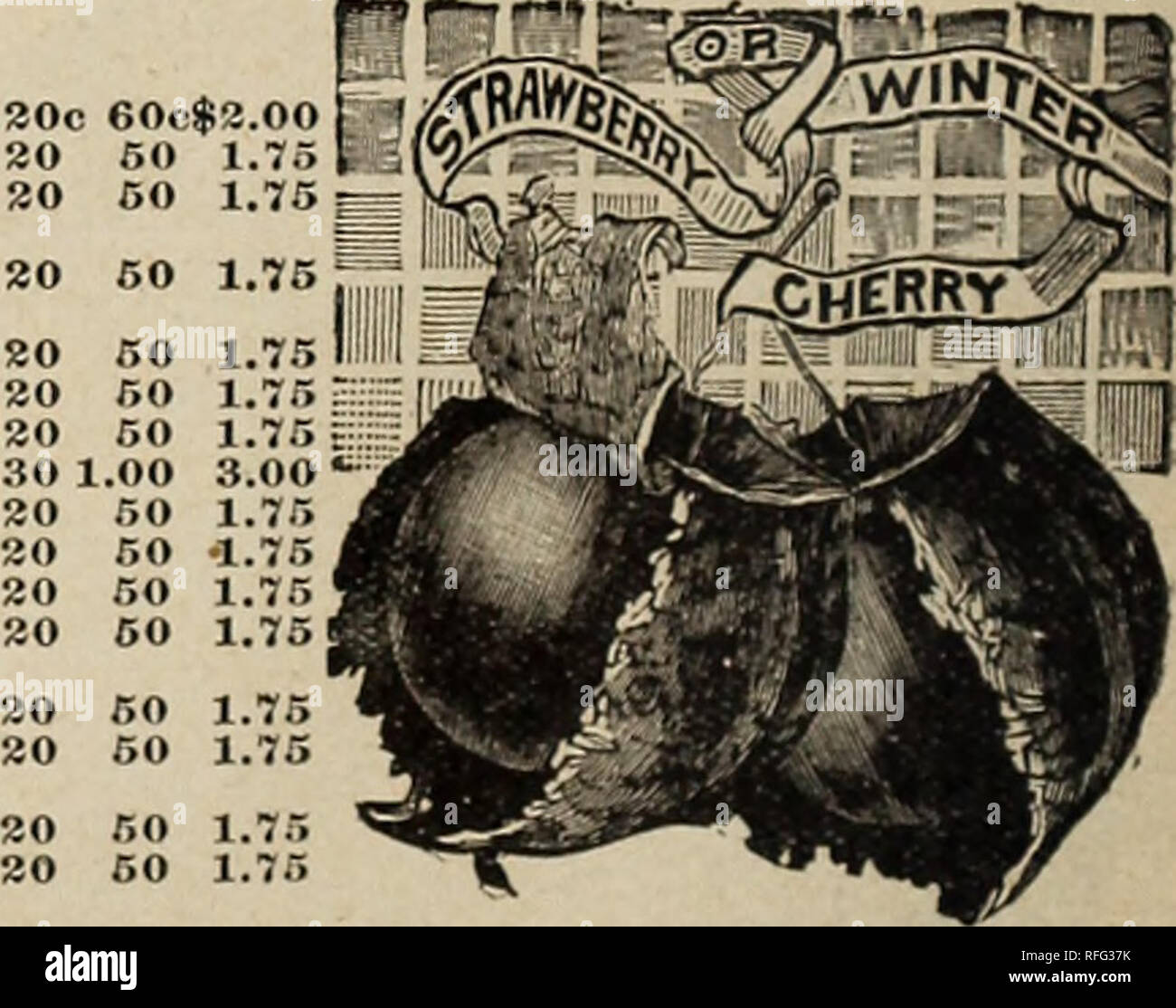 Possessed Vegetables High Resolution Stock Photography and Images - Alamy