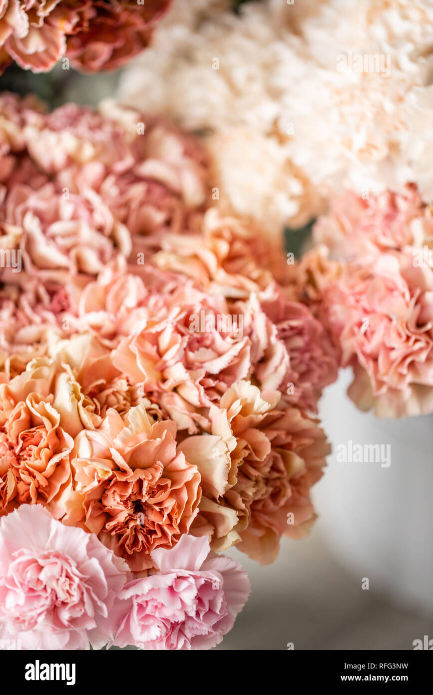 Carnation varieties hi-res stock photography and images - Alamy