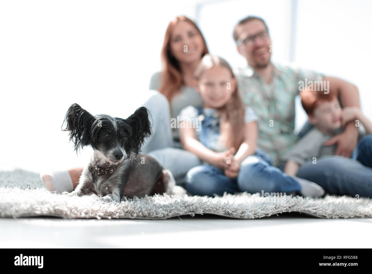 background image of happy family with pet Stock Photo - Alamy