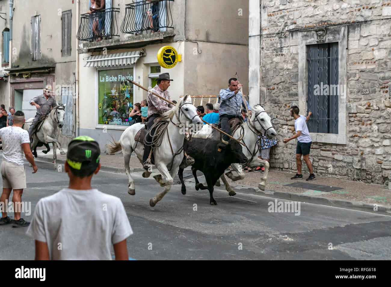 Gardians chasing bulls through street in the annual bull running fete ...