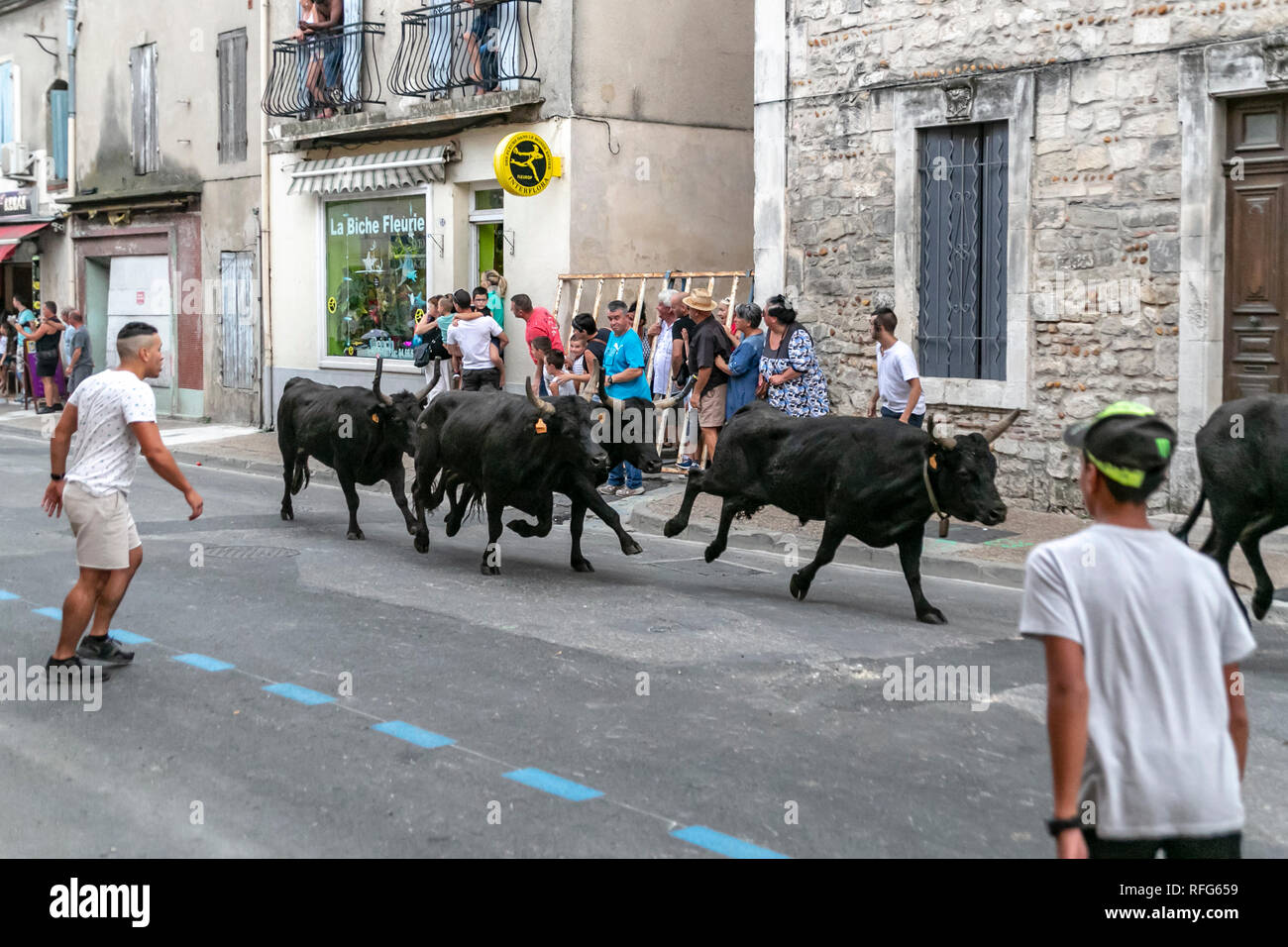 Annual running of the bulls hi-res stock photography and images - Alamy