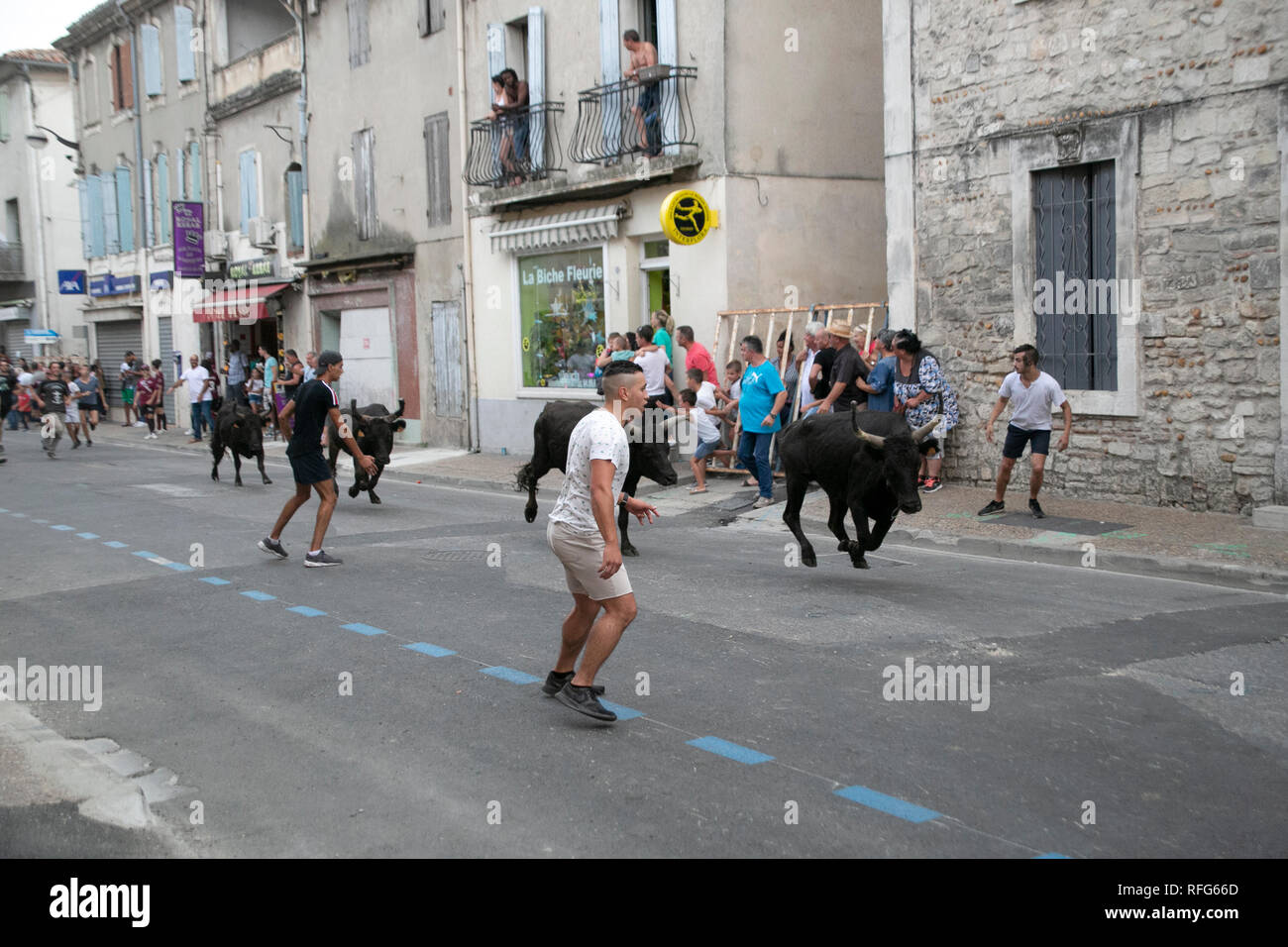Running of the bulls festival hi-res stock photography and images - Alamy