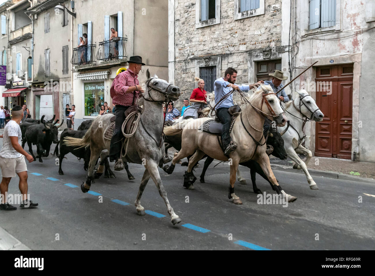 Gardians chasing bulls through street in the annual bull running fete ...