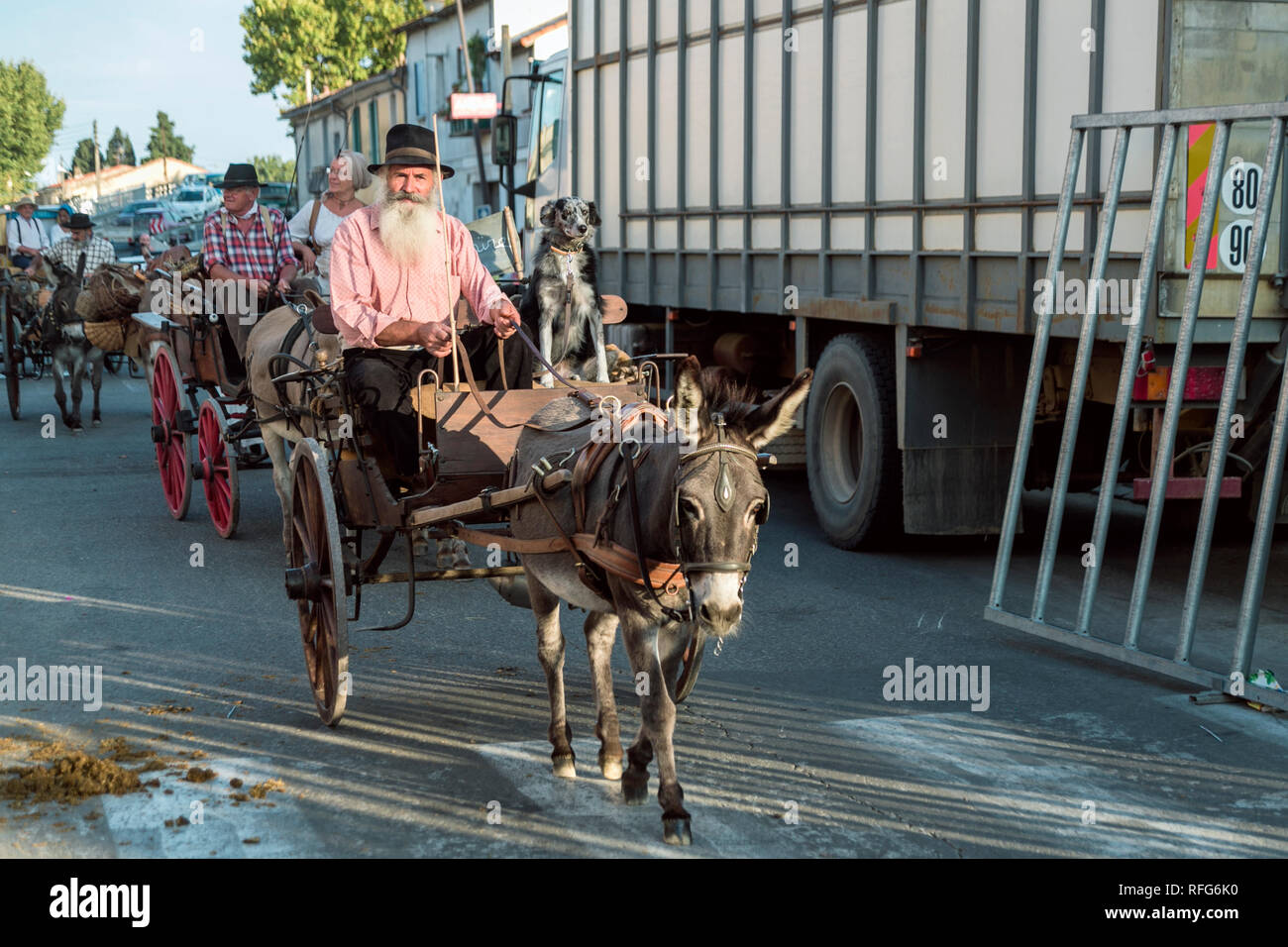 Mule pulling cart hi-res stock photography and images - Alamy