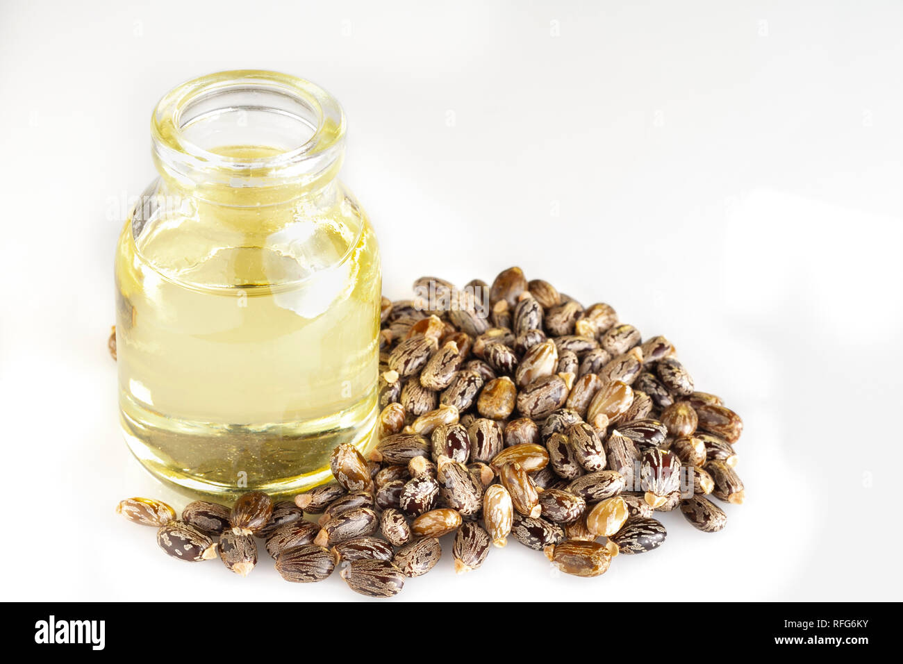 Castor oil and seeds isolated on white background, Ricinus communis ...
