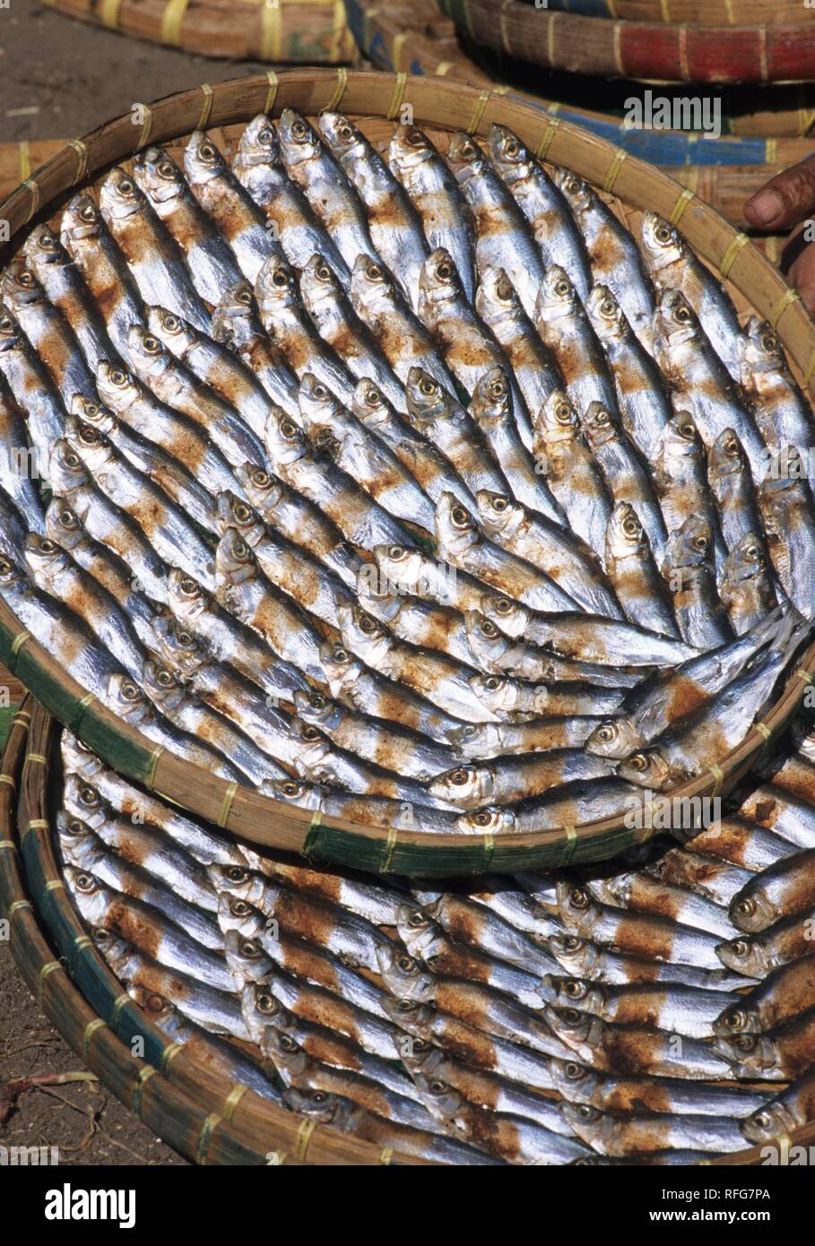 Ind Indonesia Bali High Resolution Stock Photography and Images - Alamy