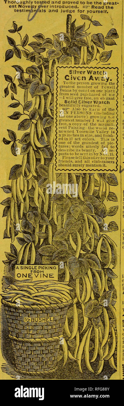 Cinnamon pole hi-res stock photography and images - Alamy