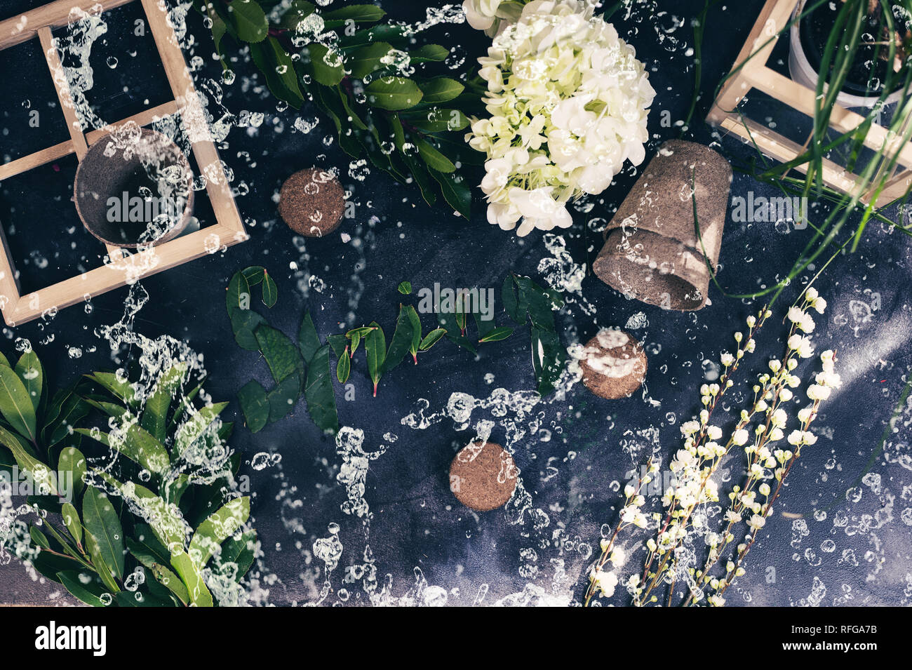 Gardening. Pot of plant on a texture table. To work in the garden ...