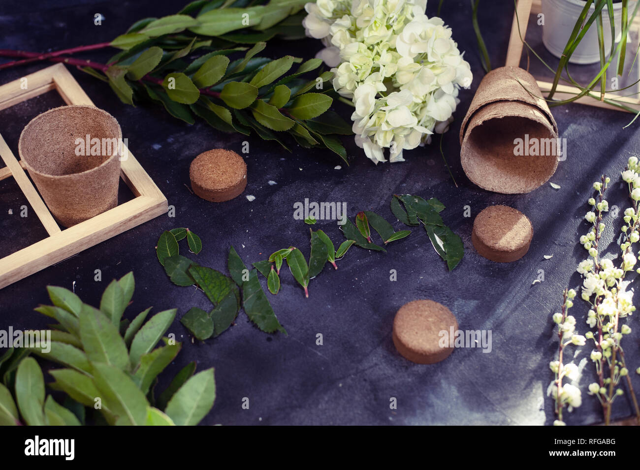 Bush craft hi-res stock photography and images - Alamy