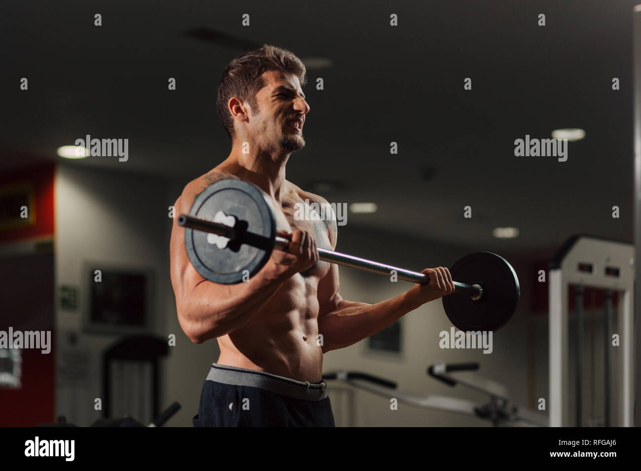 Very fit man with low body fat in the gym doing biceps curl exercise ...