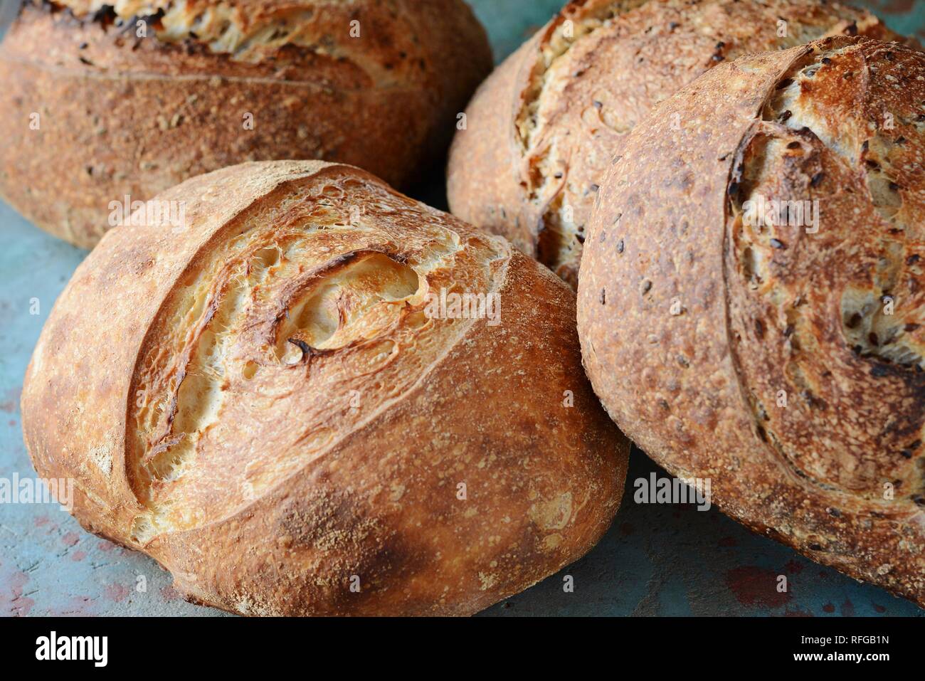 Fresh homemade bread on a gray-blue background, with flax seeds on ...