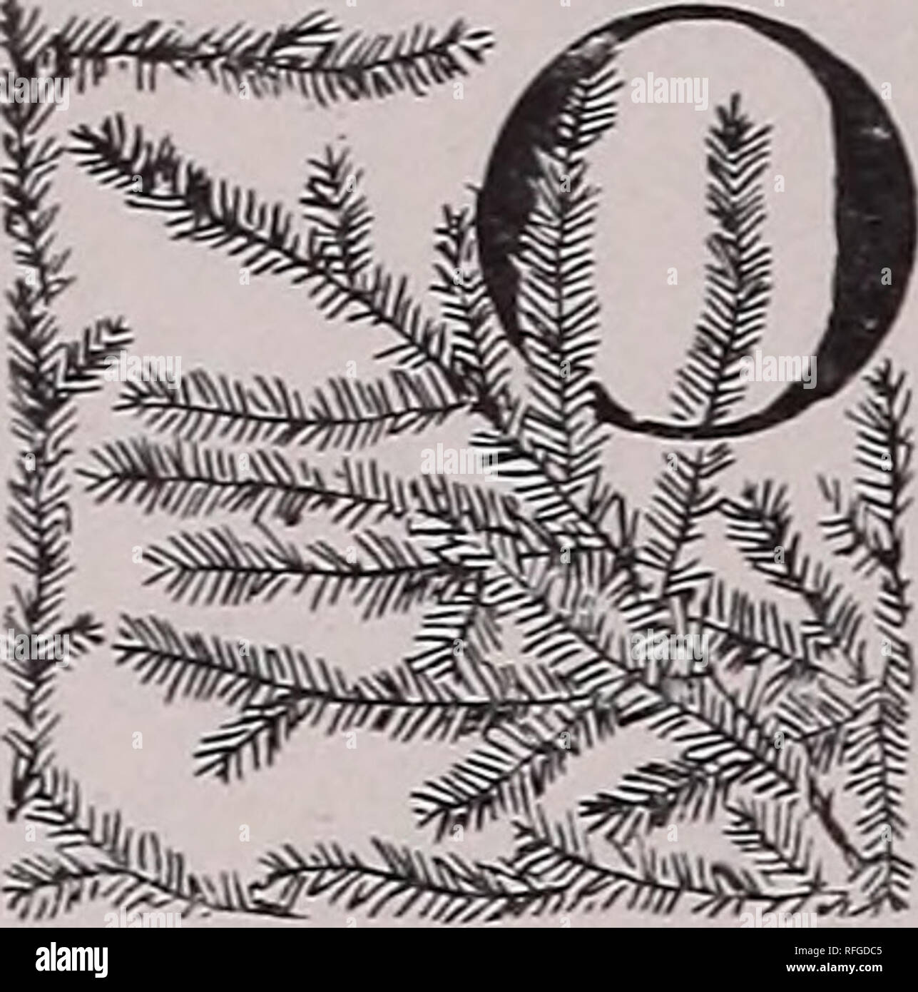 . More specialties. Nursery stock Pennsylvania Philadelphia Catalogs ...