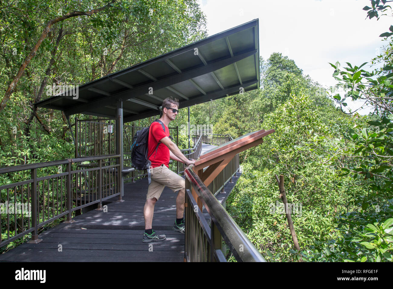 Southern Ridges Canopy Walk, Singapore Stock Photo - Alamy