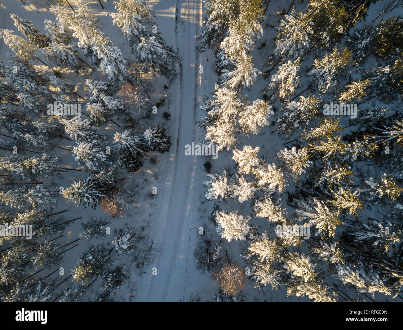 Snowy boreal forest hi-res stock photography and images - Alamy