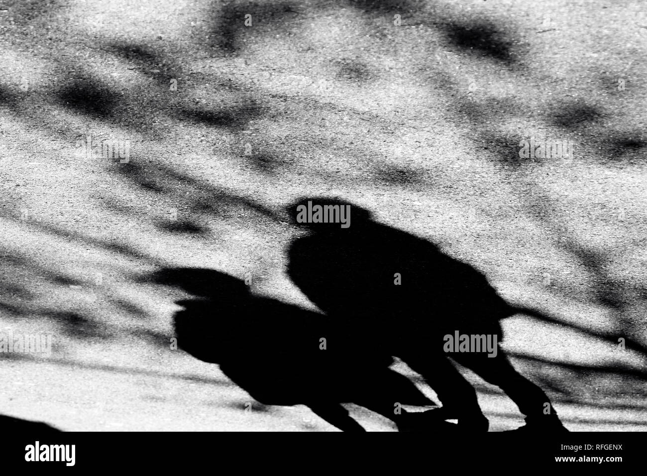 Black And White Shadow Pictures