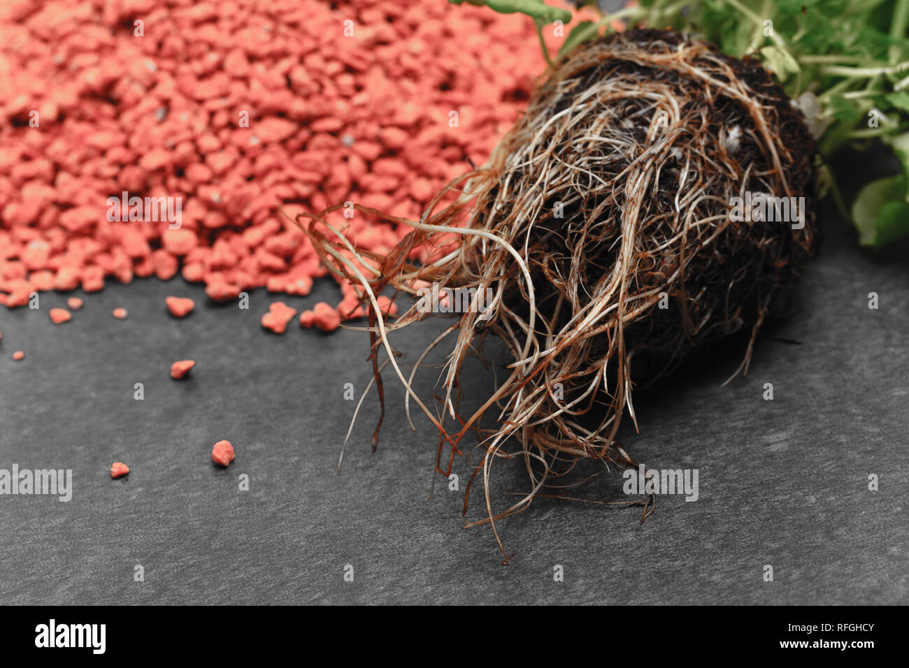 pile of pink fertilizer for plants Stock Photo - Alamy