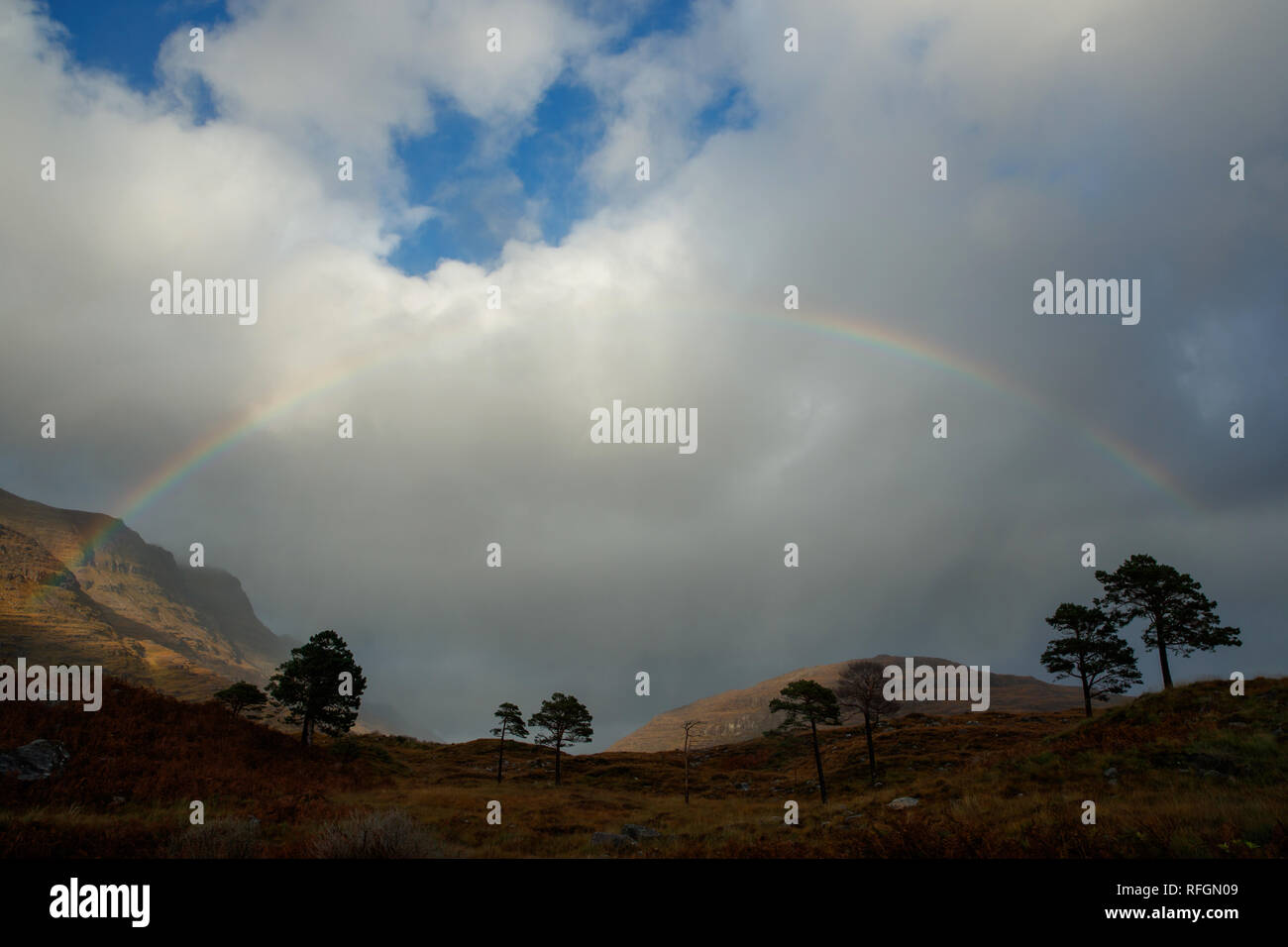 A rainbow over trees and countryside near Torridon, Scotland Stock ...