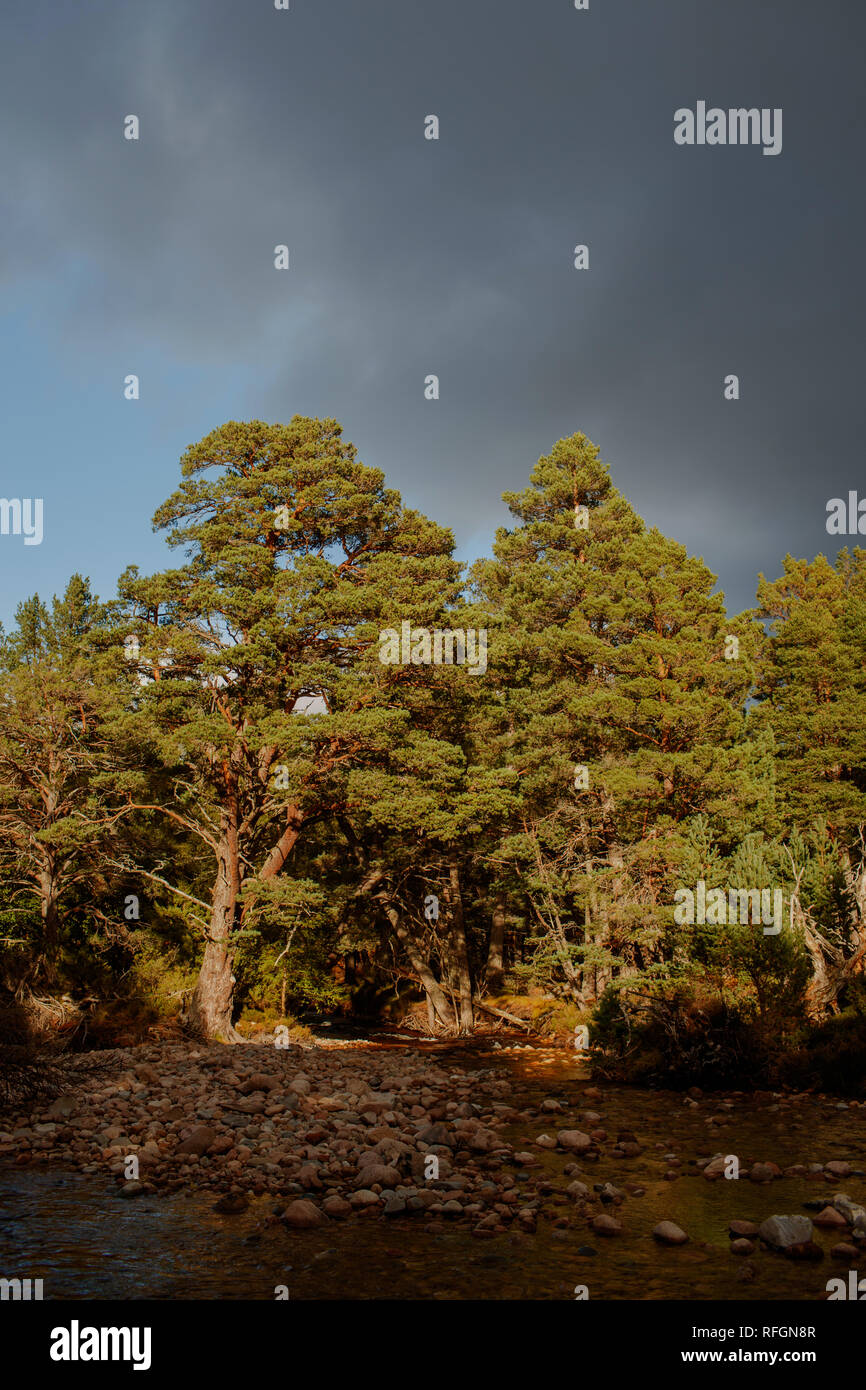 Large river rocks clouds river trees scenery hi-res stock photography ...