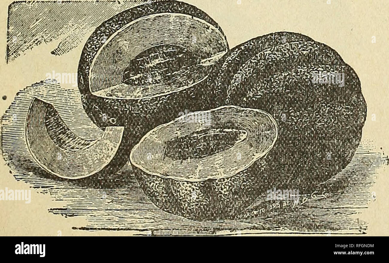 Extra large cereal hi-res stock photography and images - Alamy