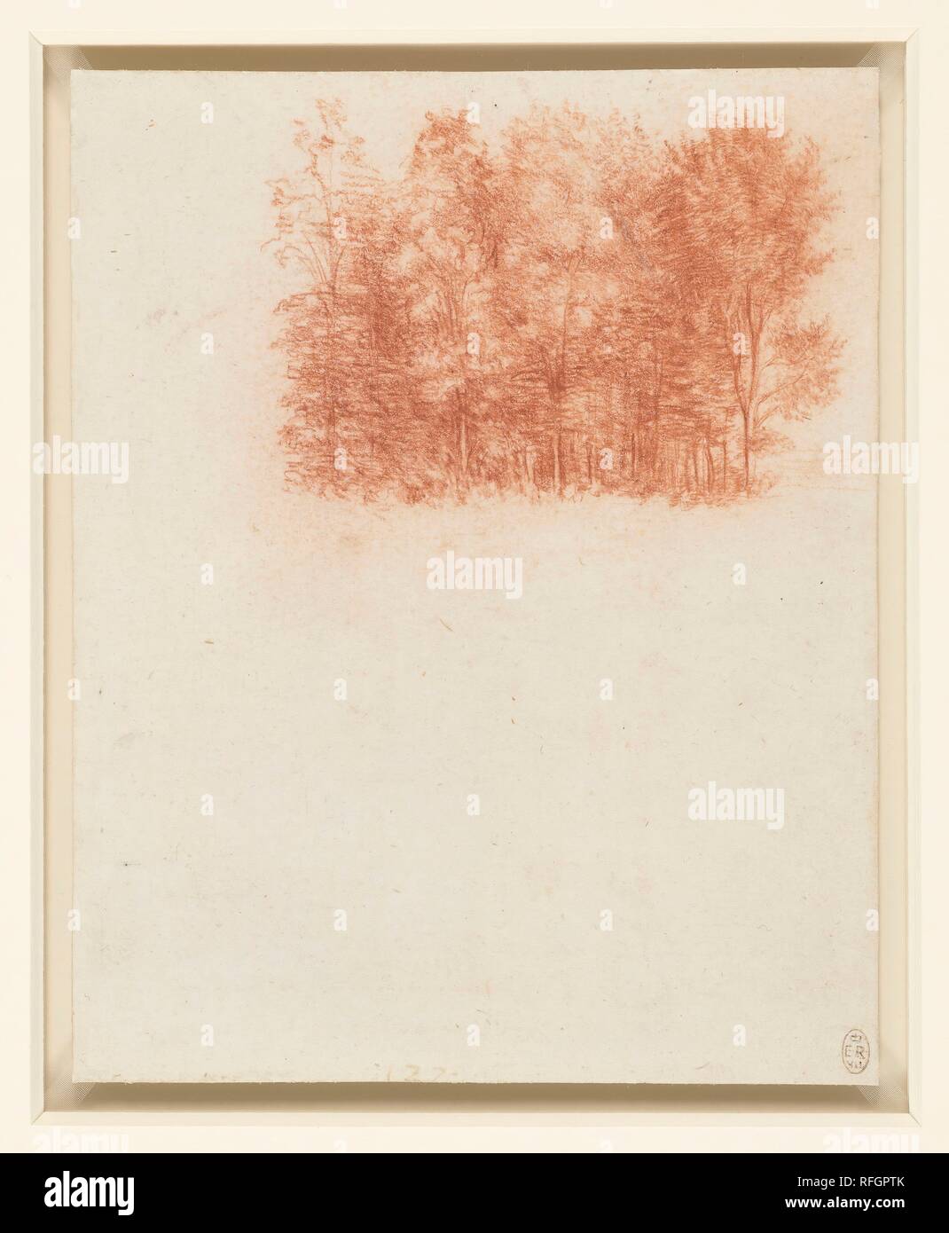 Leonardo da Vinci. A stand of trees. Verso: A tree c.1500 Stock Photo ...