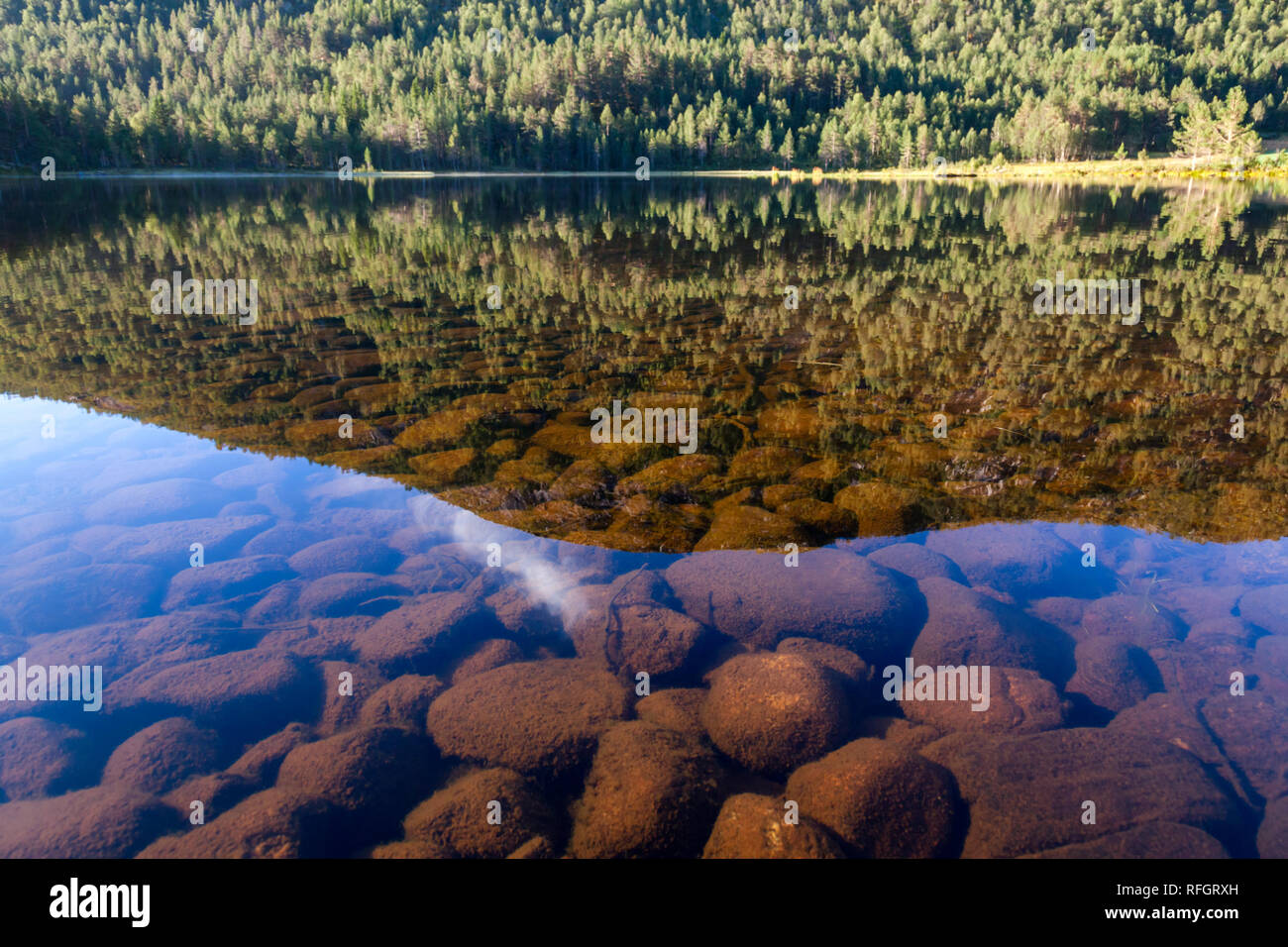 Crystal clear lake hi-res stock photography and images - Alamy