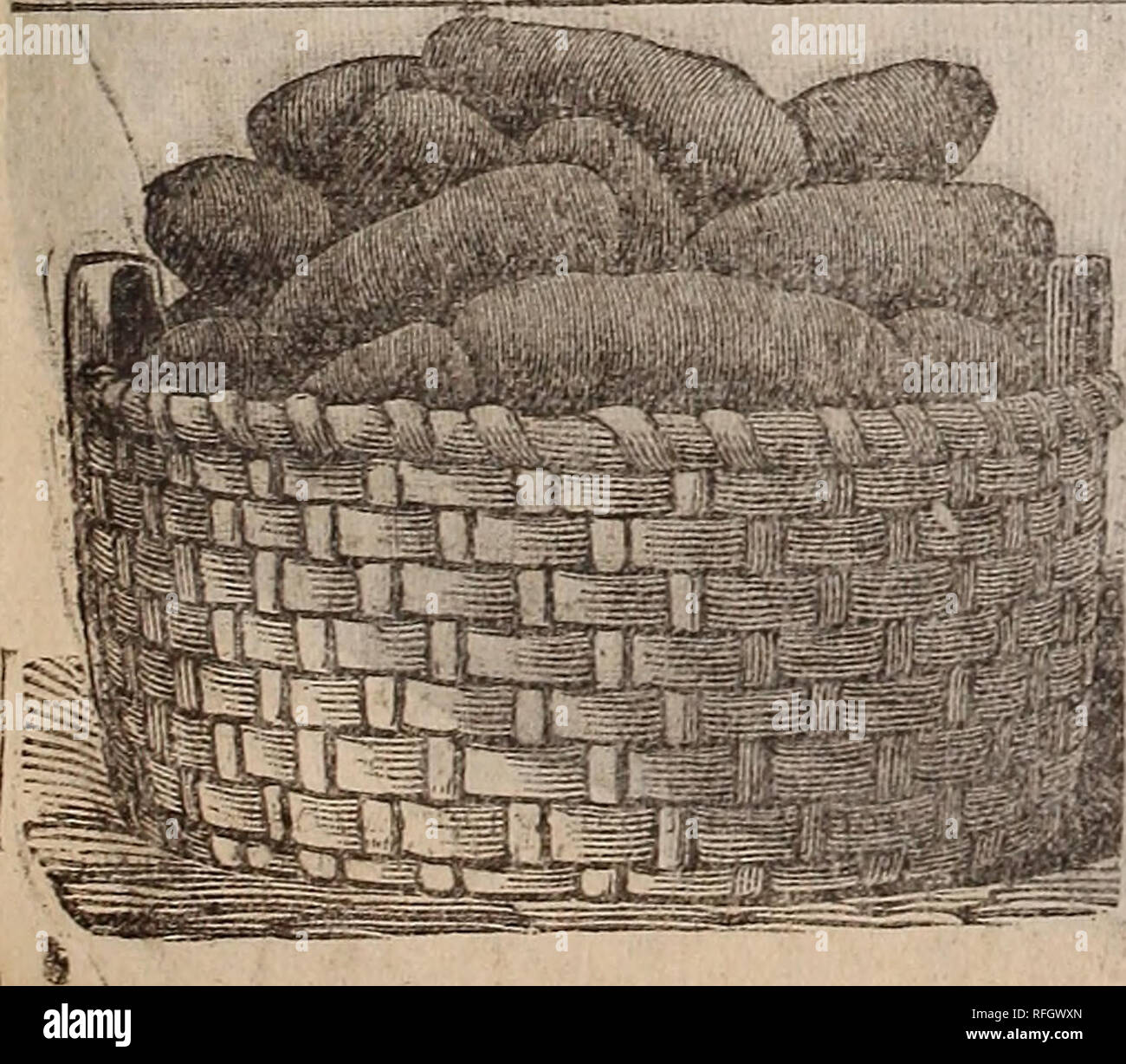 Witit hi-res stock photography and images - Alamy