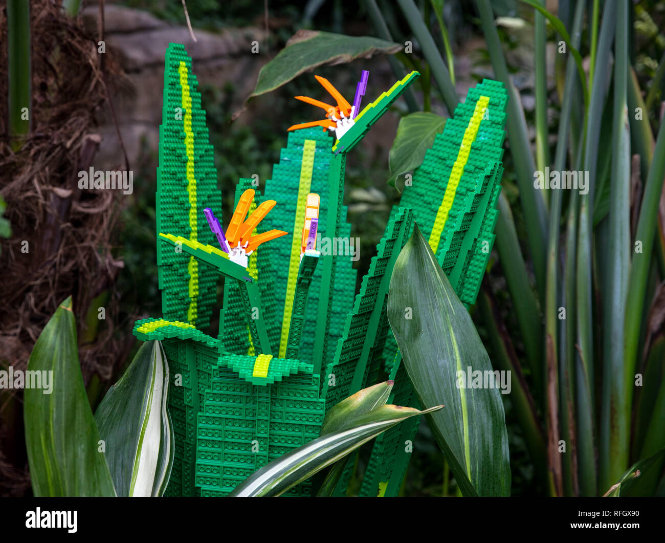 A Lego plant, one of 40 Lego sculptures going on display as part of the ...