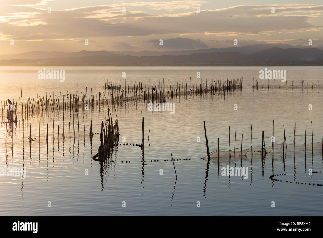 Lake of the albufera hi-res stock photography and images - Alamy
