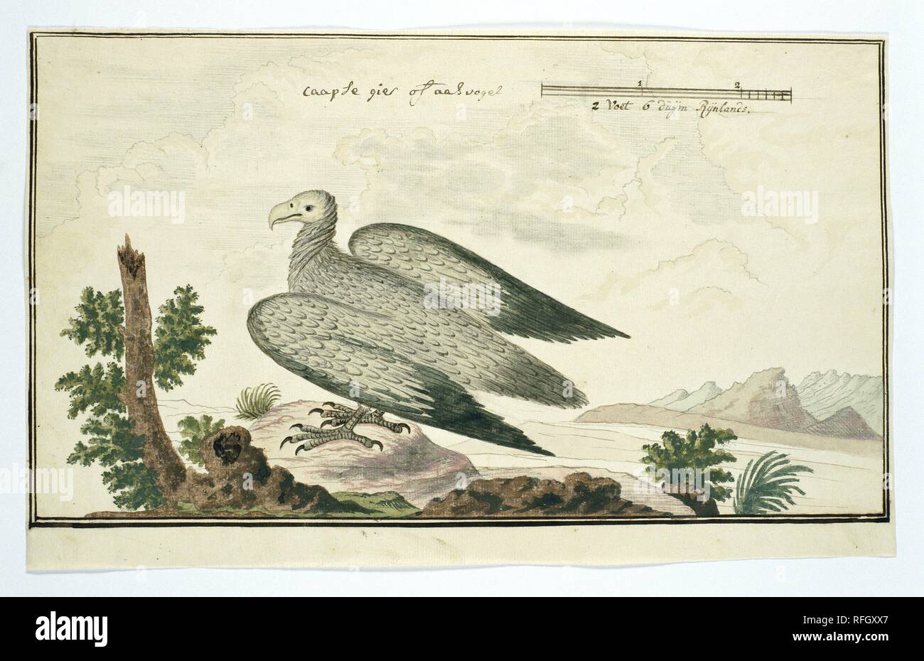 Robert gier hi-res stock photography and images - Alamy