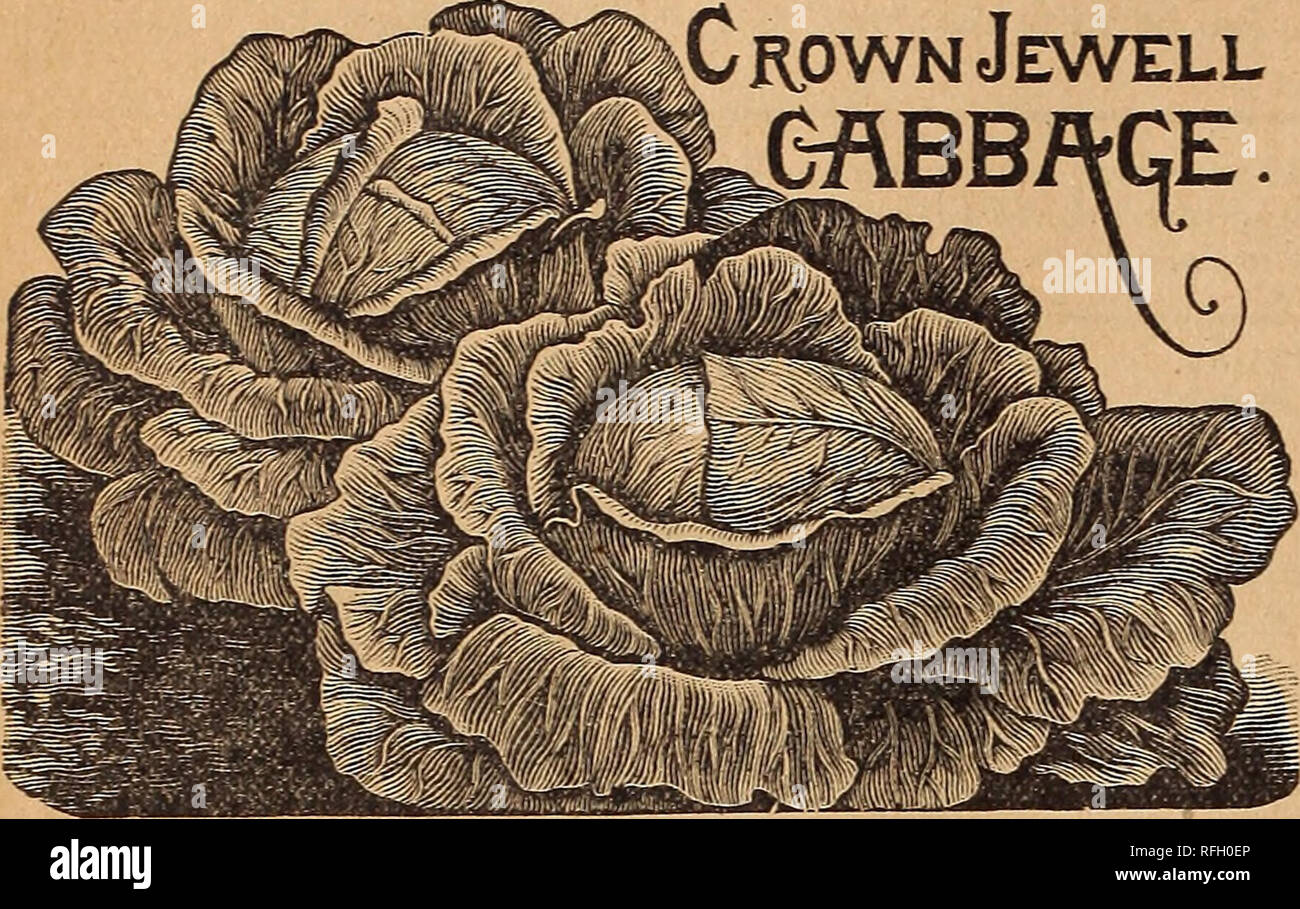 Pma uniform hi-res stock photography and images - Alamy