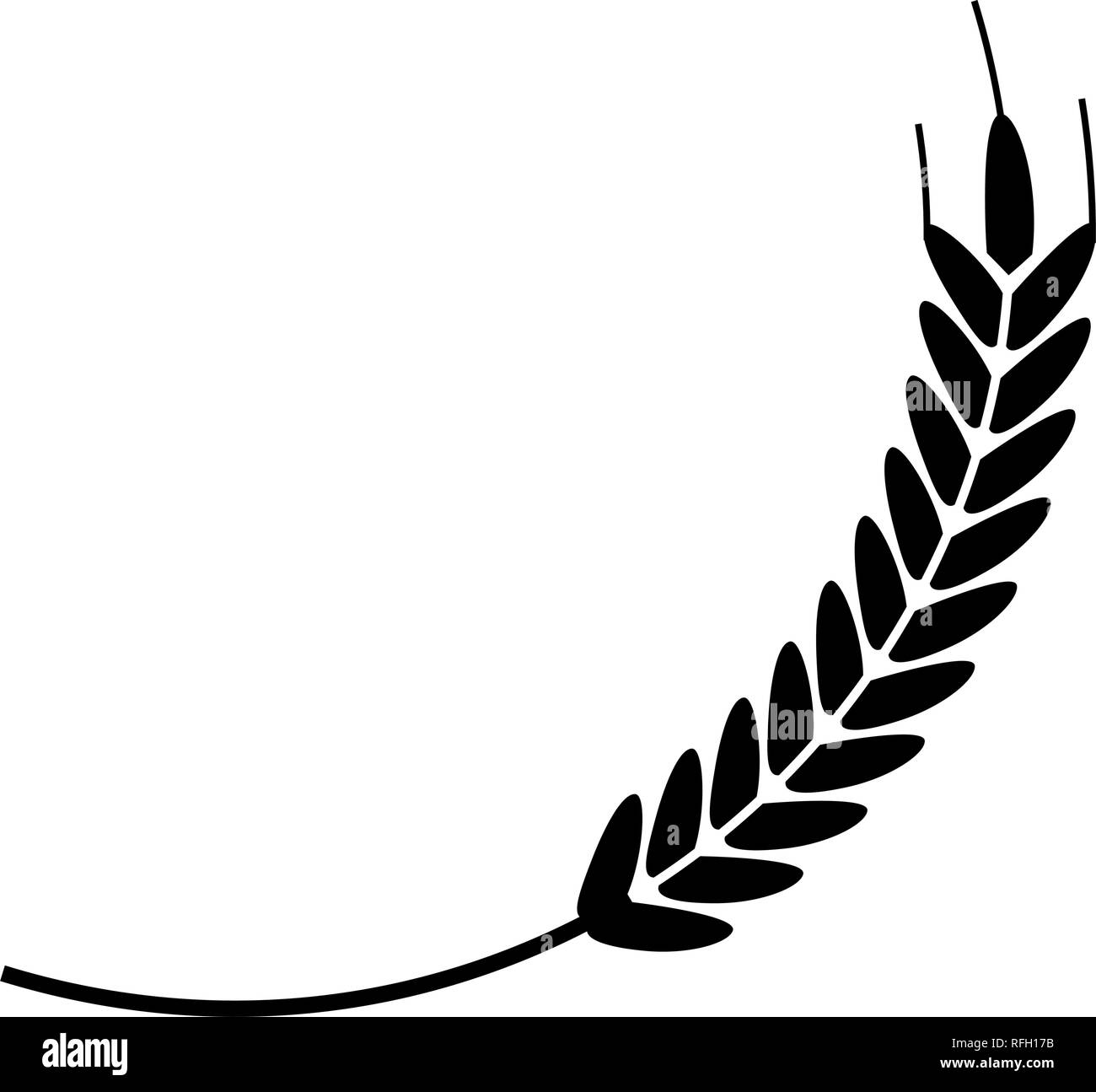 Ear wheat rye in field Cut Out Stock Images & Pictures - Alamy