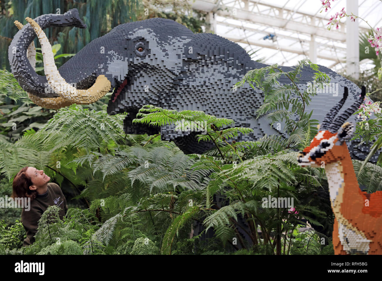 Life size lego brick sculptures hi-res stock photography and images - Alamy