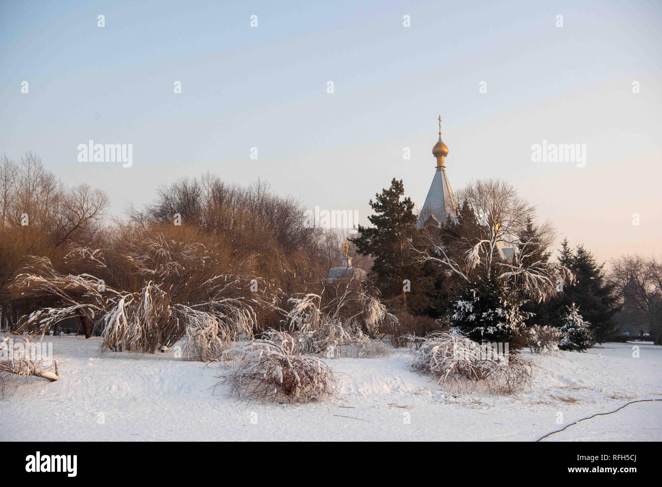 Harbin, Harbin, China. 25th Jan, 2019. Harbin, CHINA-Snow scenery of ...