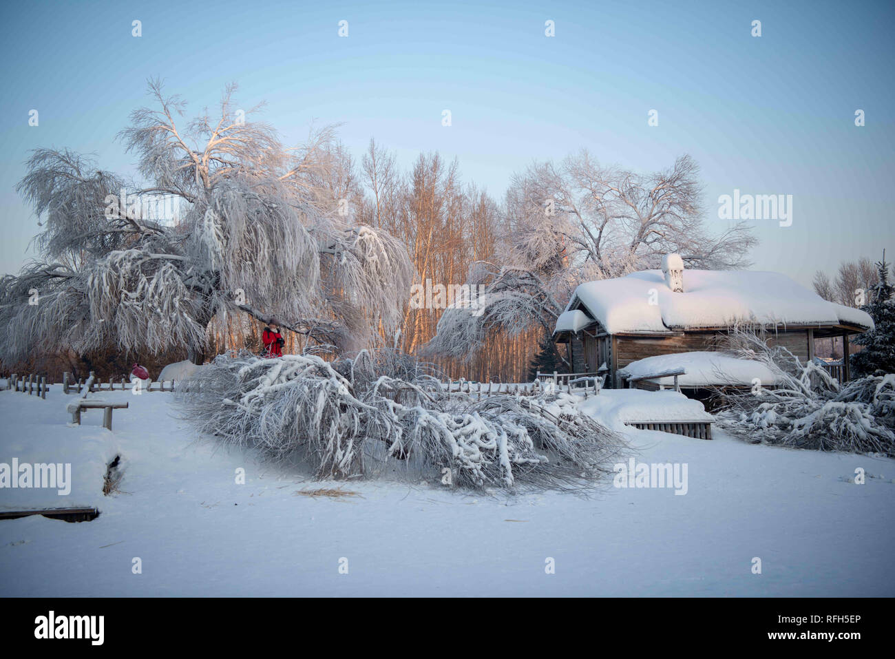 Harbin, Harbin, China. 25th Jan, 2019. Harbin, CHINA-Snow scenery of ...