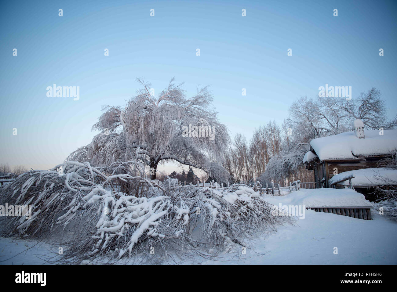 Harbin, Harbin, China. 25th Jan, 2019. Harbin, CHINA-Snow scenery of ...