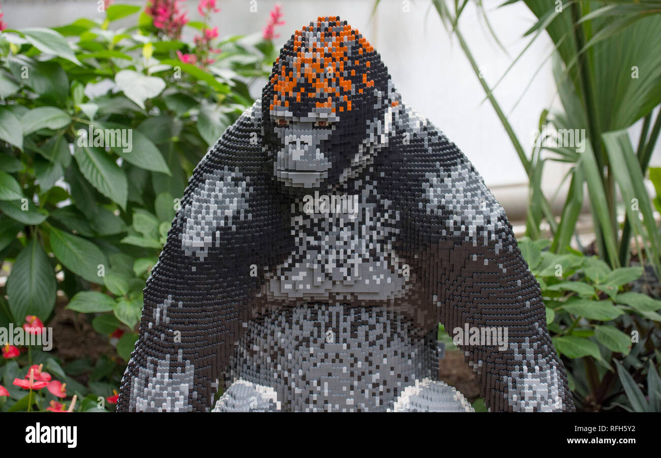 Gorilla lego hi-res stock photography and images - Alamy