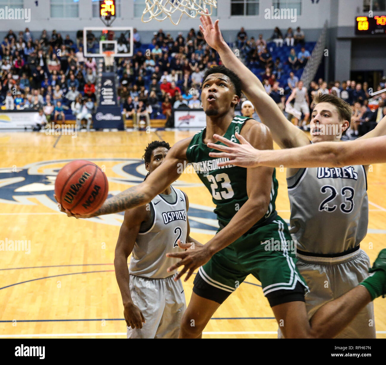 North florida ospreys mens basketball hi-res stock photography and ...