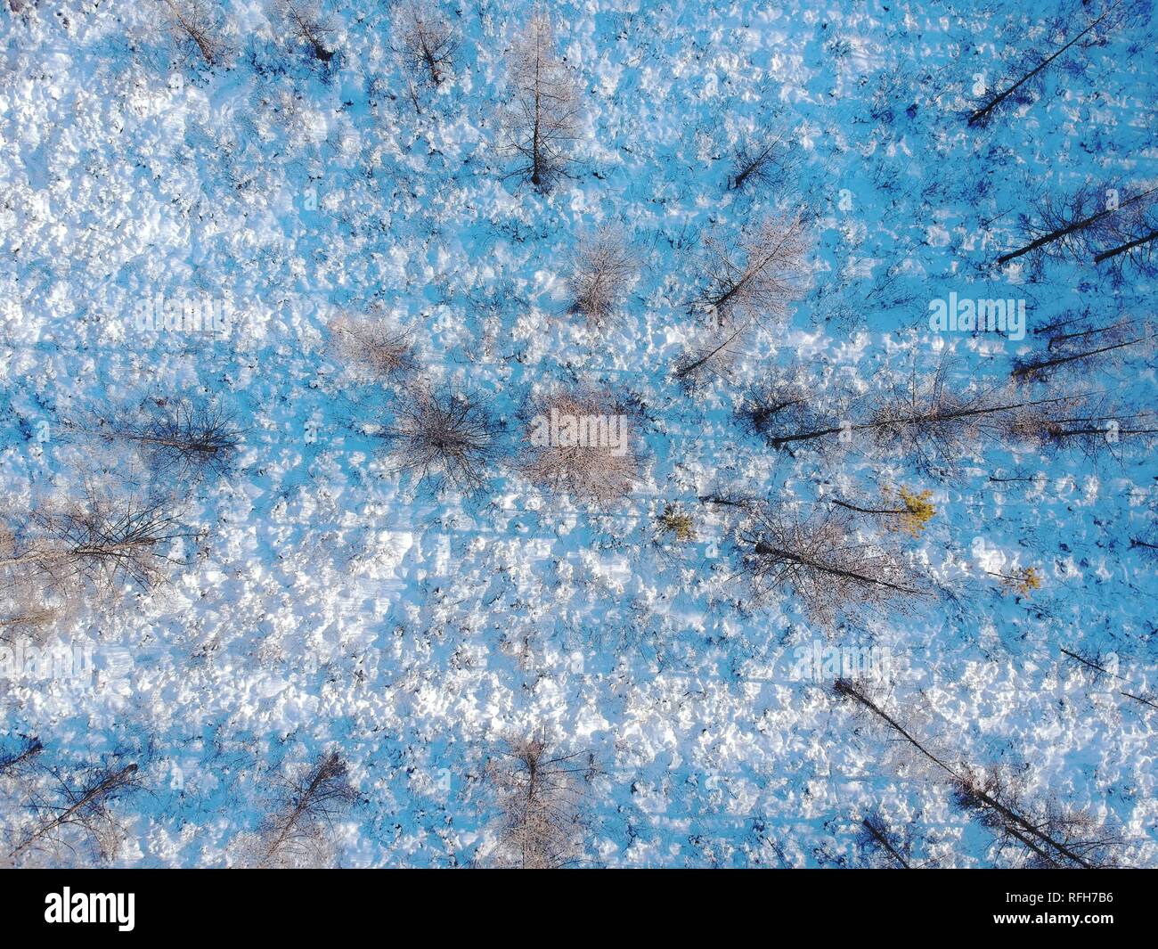 Mohe, Mohe, China. 26th Jan, 2019. Mohe, CHINA-Winter scenery of ...