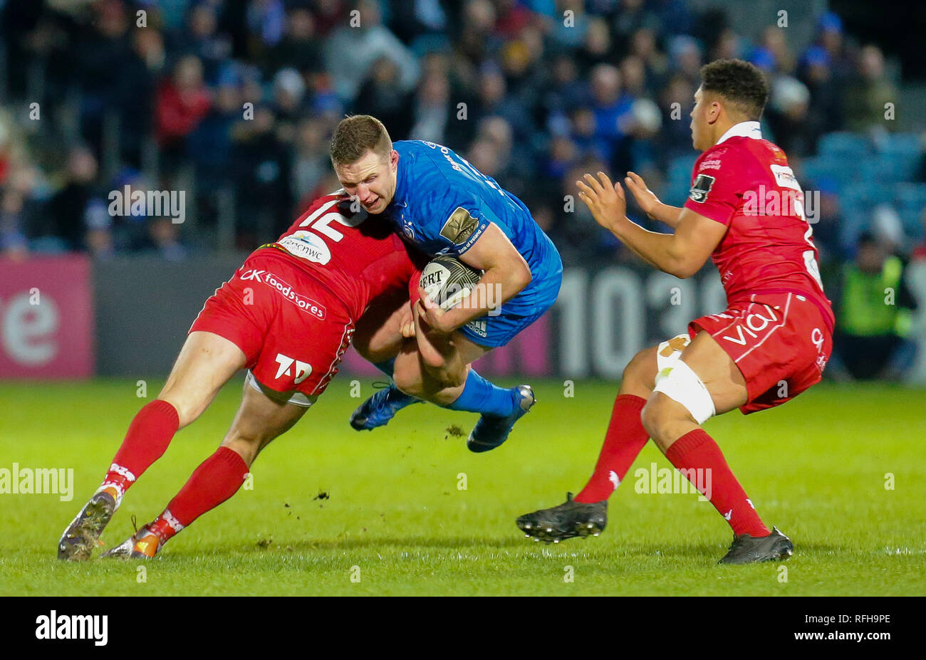 Steff hughes scarlets hi-res stock photography and images - Alamy