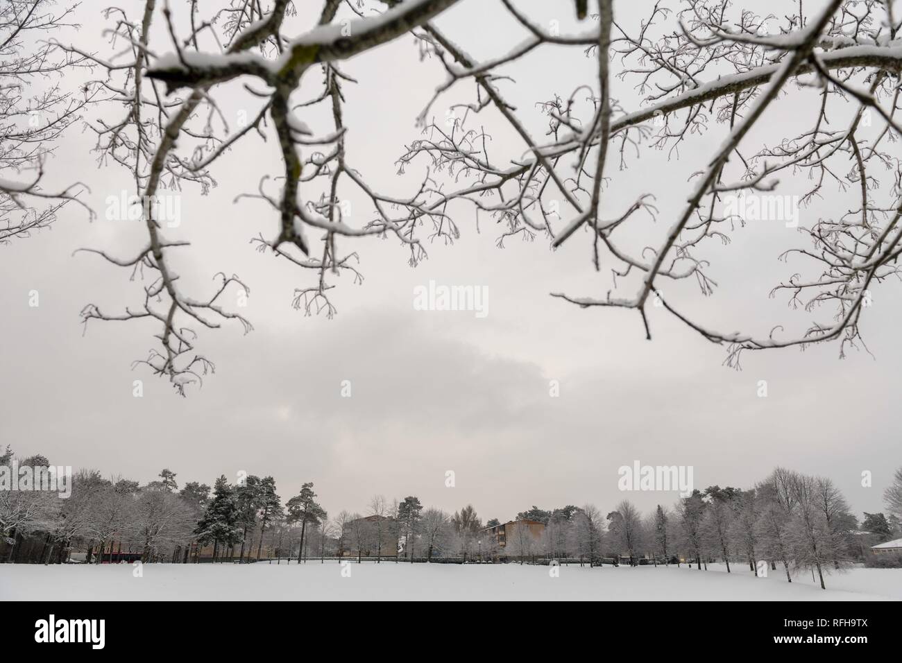 Stockholm, Sweden. 25th Jan, 2019. A heavy snowfall has fallen over ...