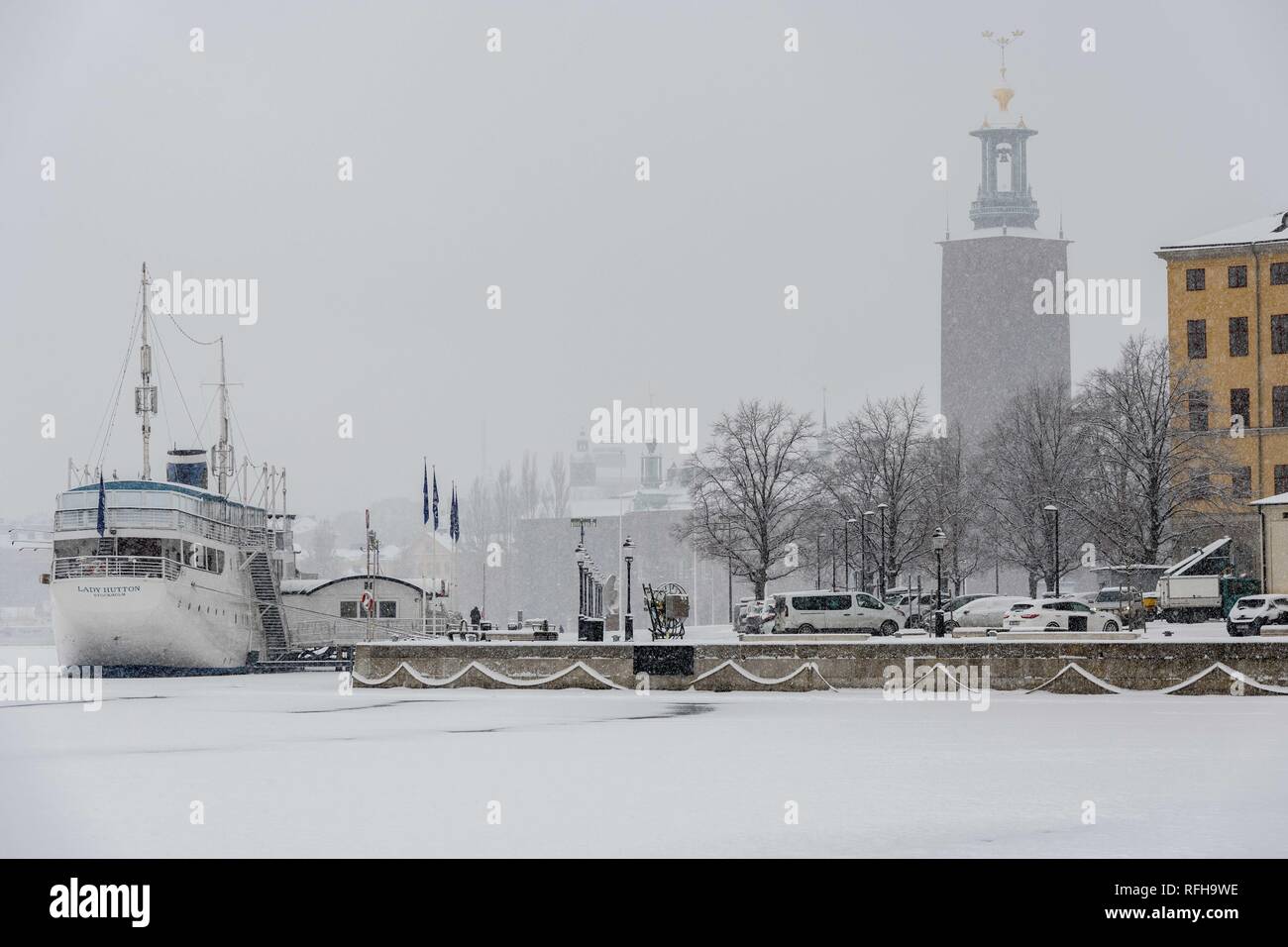 Stockholm, Sweden. 25th Jan, 2019. A heavy snowfall has fallen over ...