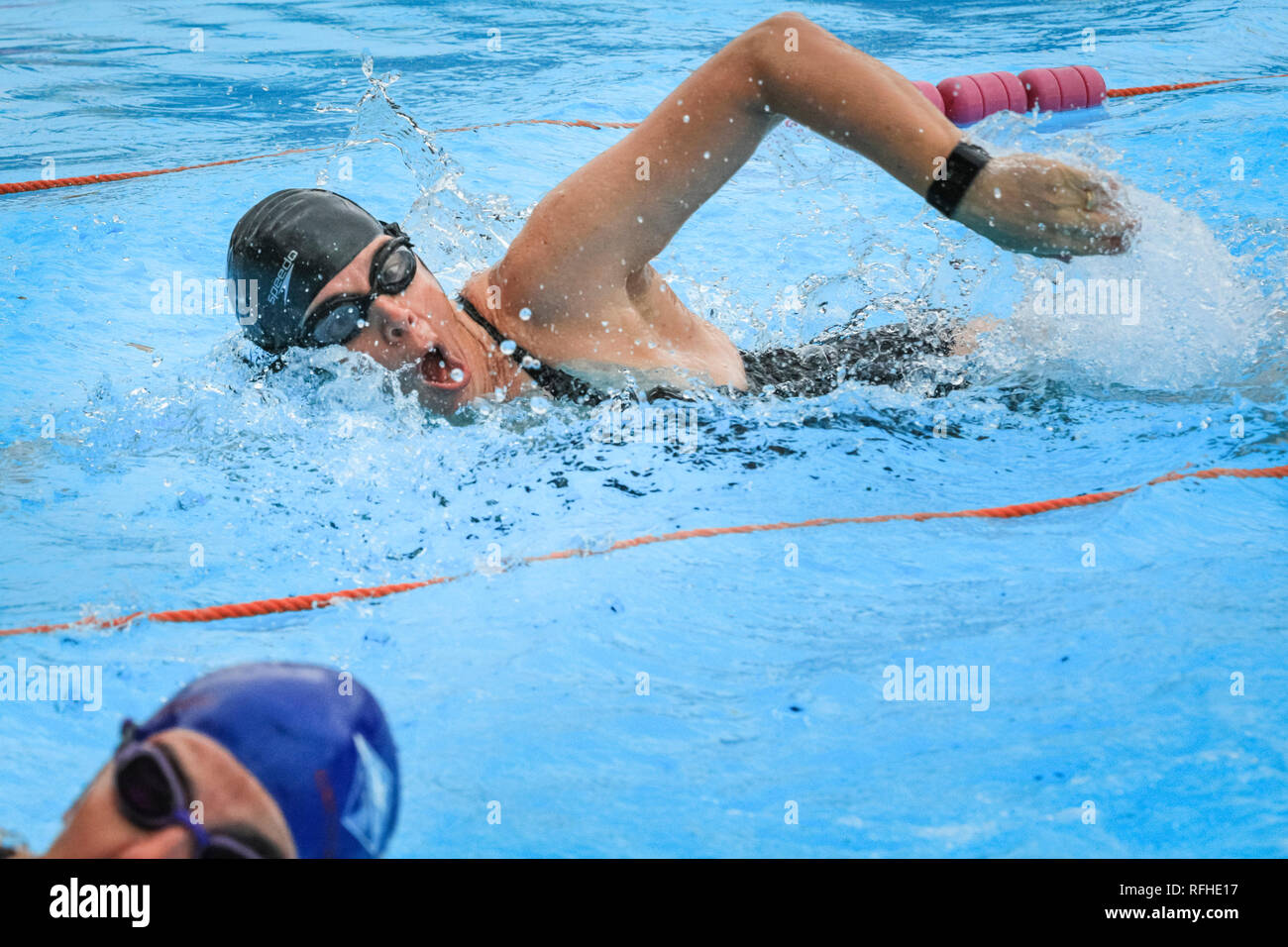 Hardy swimmer hi-res stock photography and images - Alamy