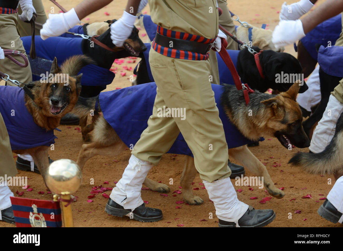 Bangalore, India. 26th Jan, 2019. Members of the Indian police dog ...